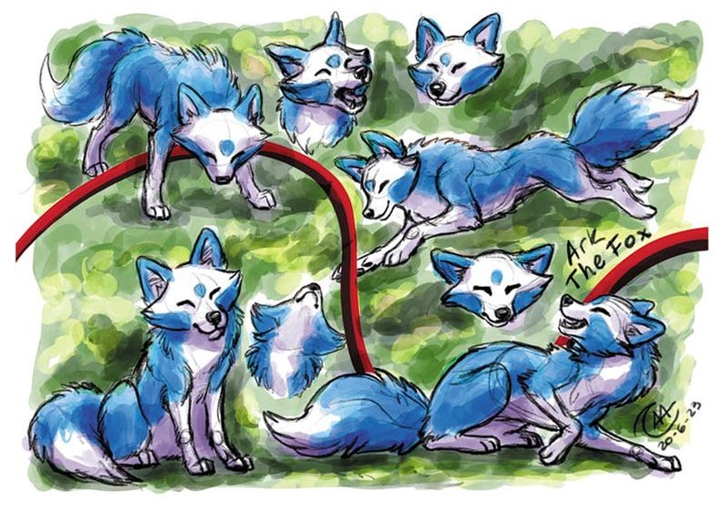 Meet Ark the Fox Art Print, OC Blue Fox Illustration, Fox Lovers Art ...