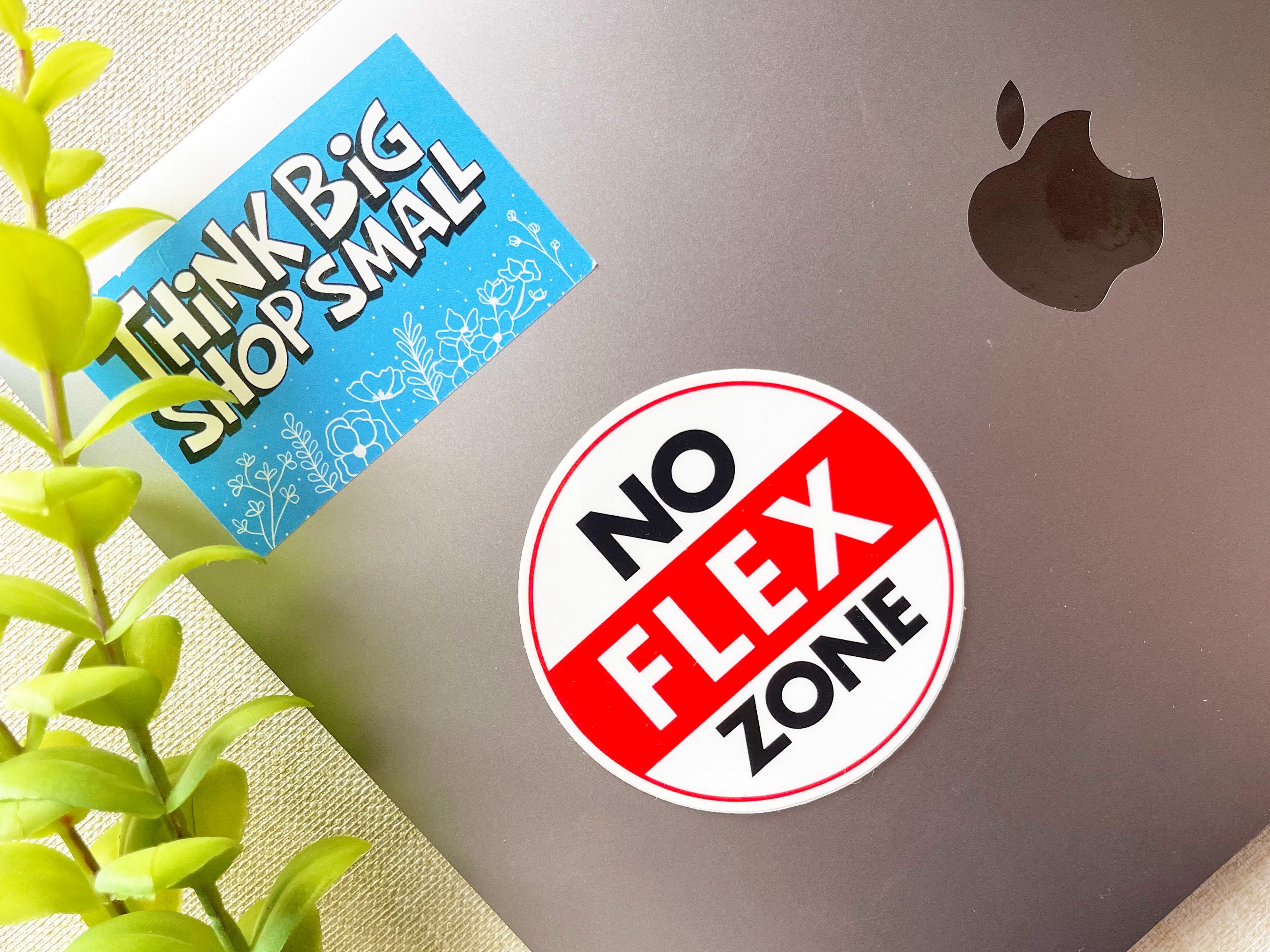 No Flex Zone Logo