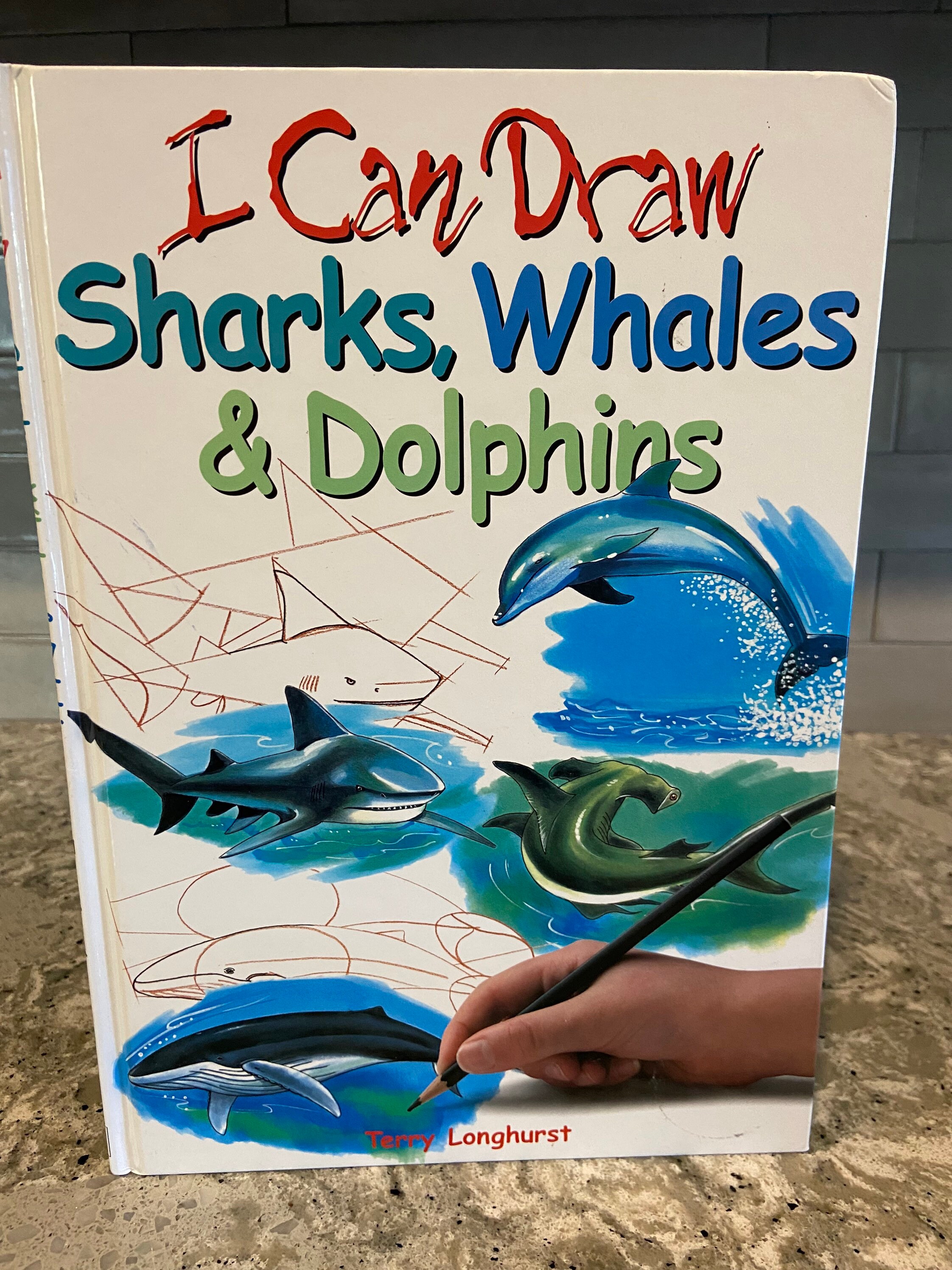 I Can Draw Book Series set of 4 - Etsy