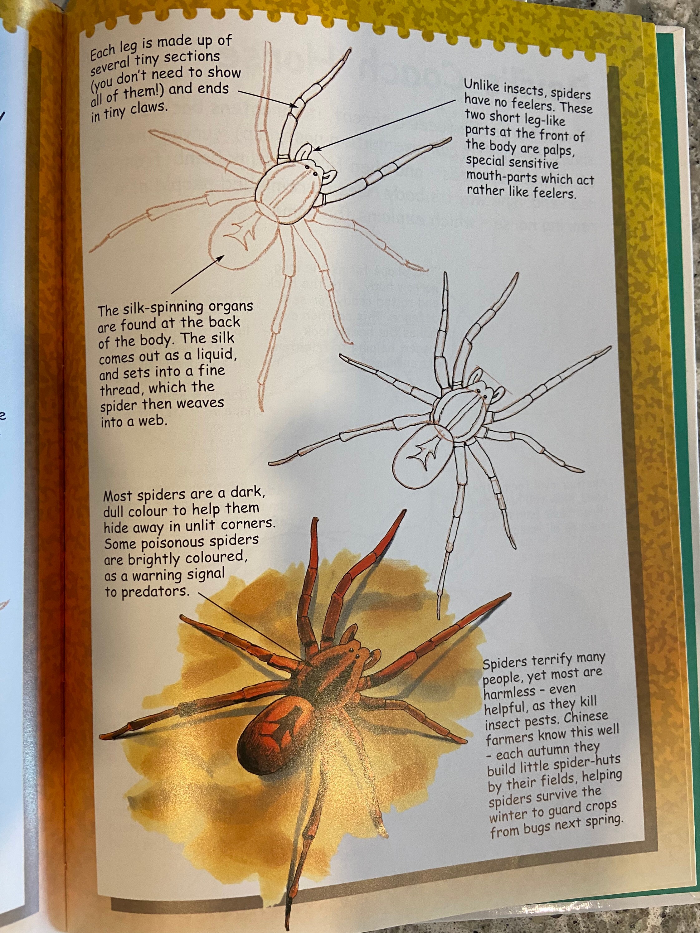 I Can Draw Book Series set of 4 - Etsy