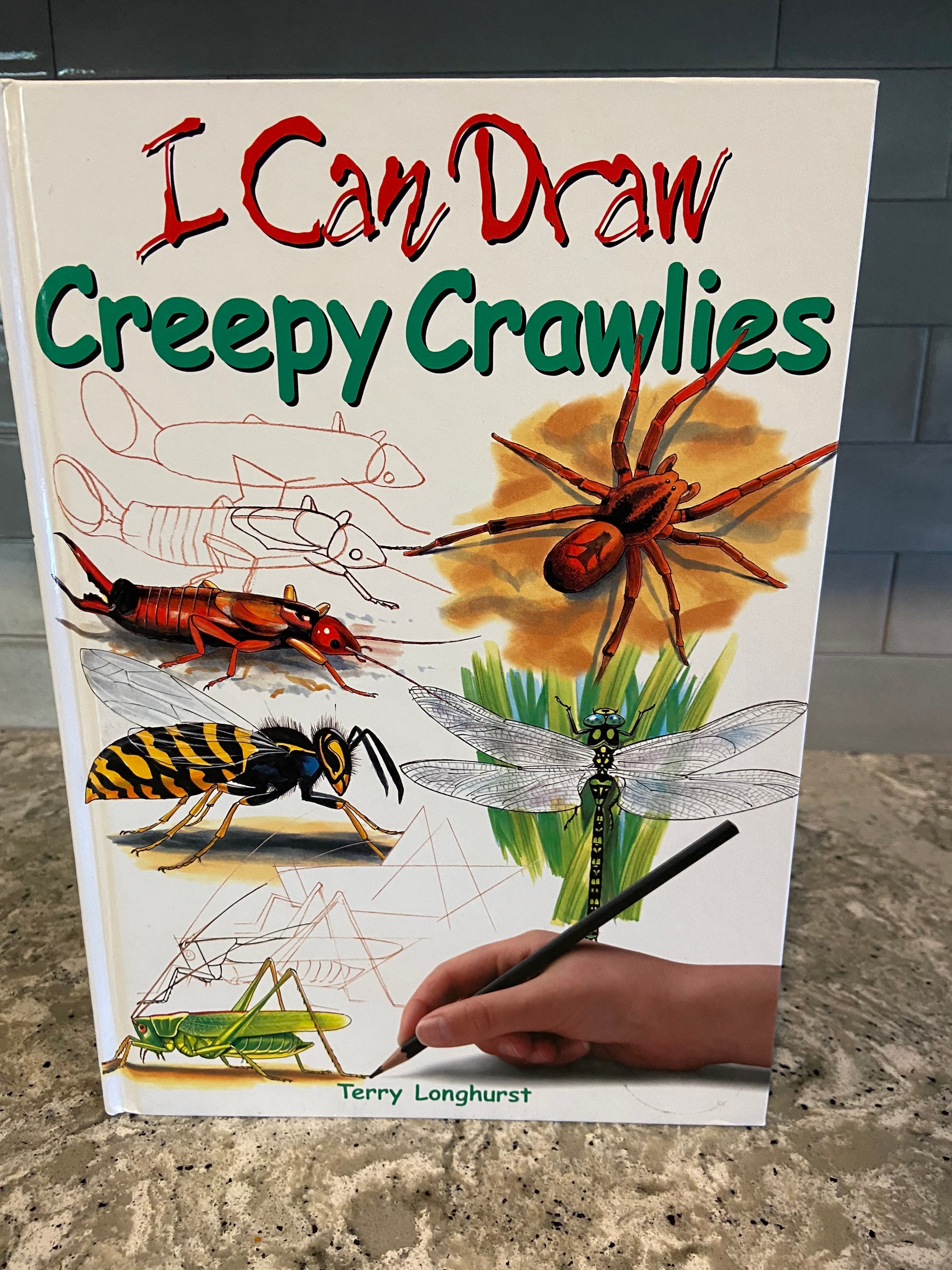 I Can Draw Book Series set of 4 - Etsy