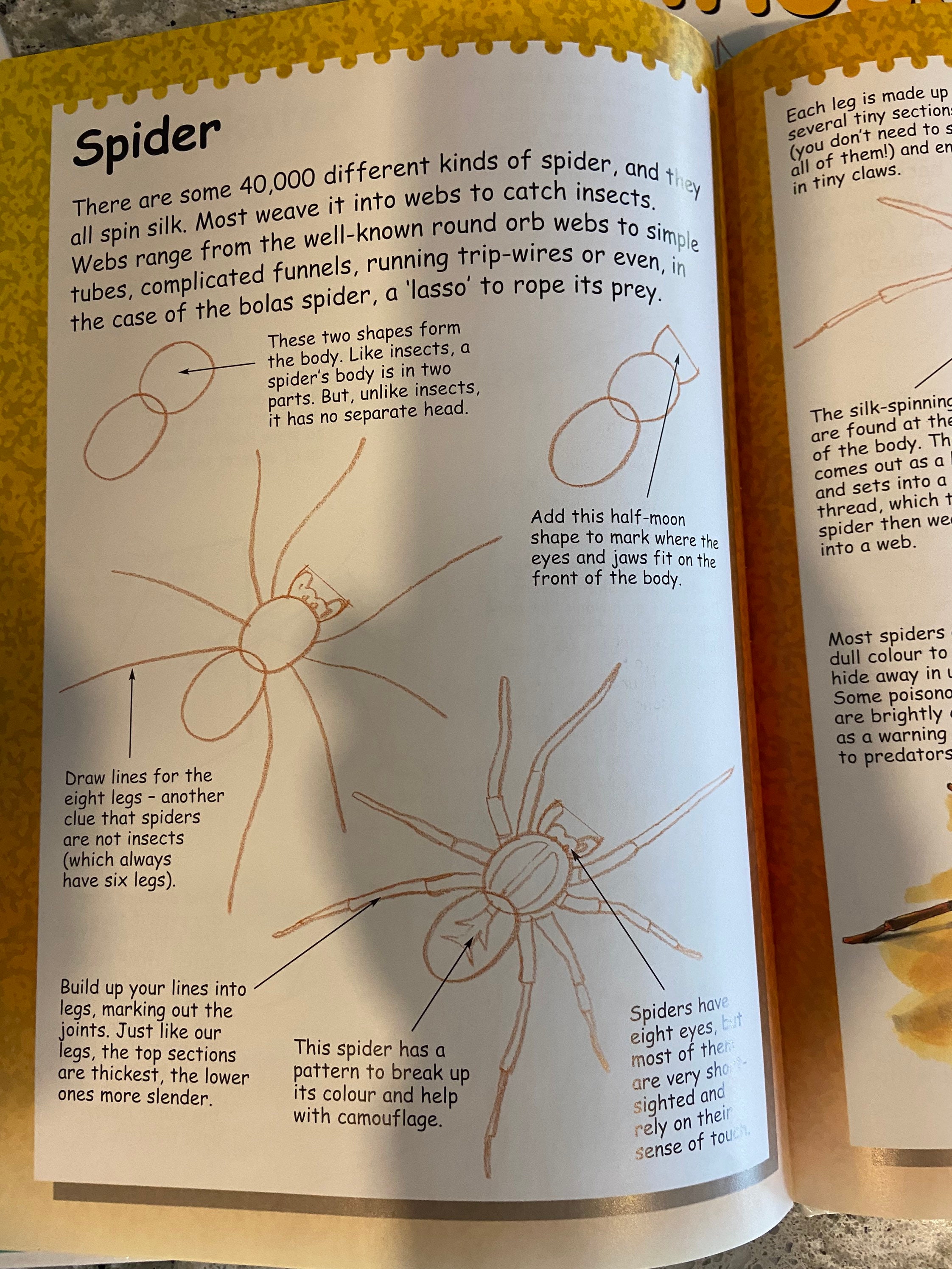 I Can Draw Book Series set of 4 - Etsy