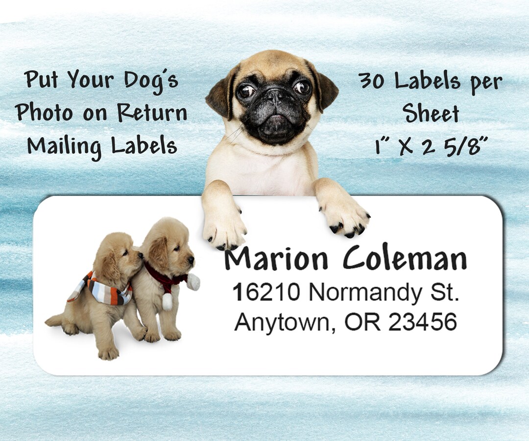 Custom Dog Photo Return Address Labels: Glossy Pet Stickers - Etsy