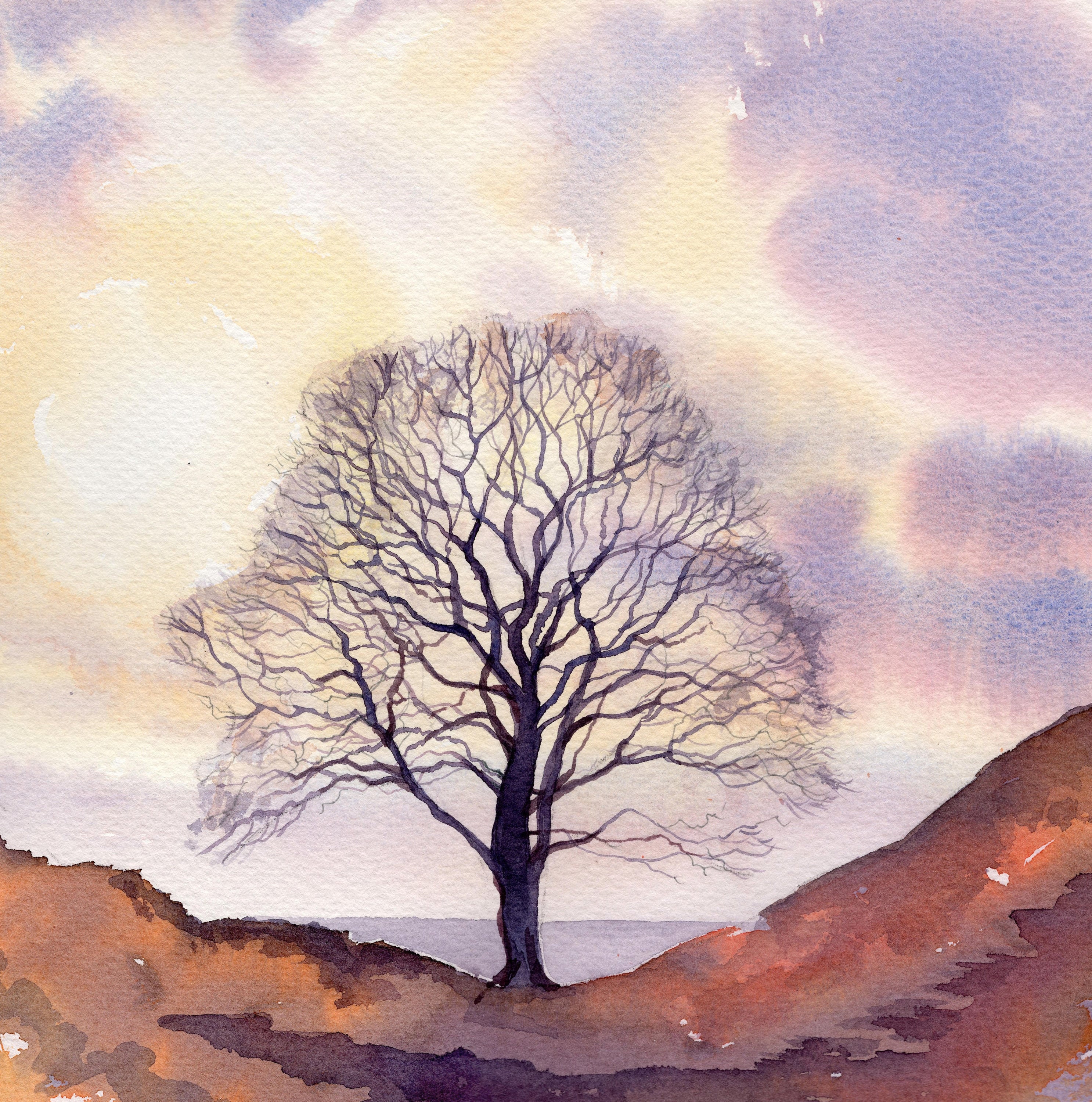Sunset Sycamore Gap Greetings Card - Etsy