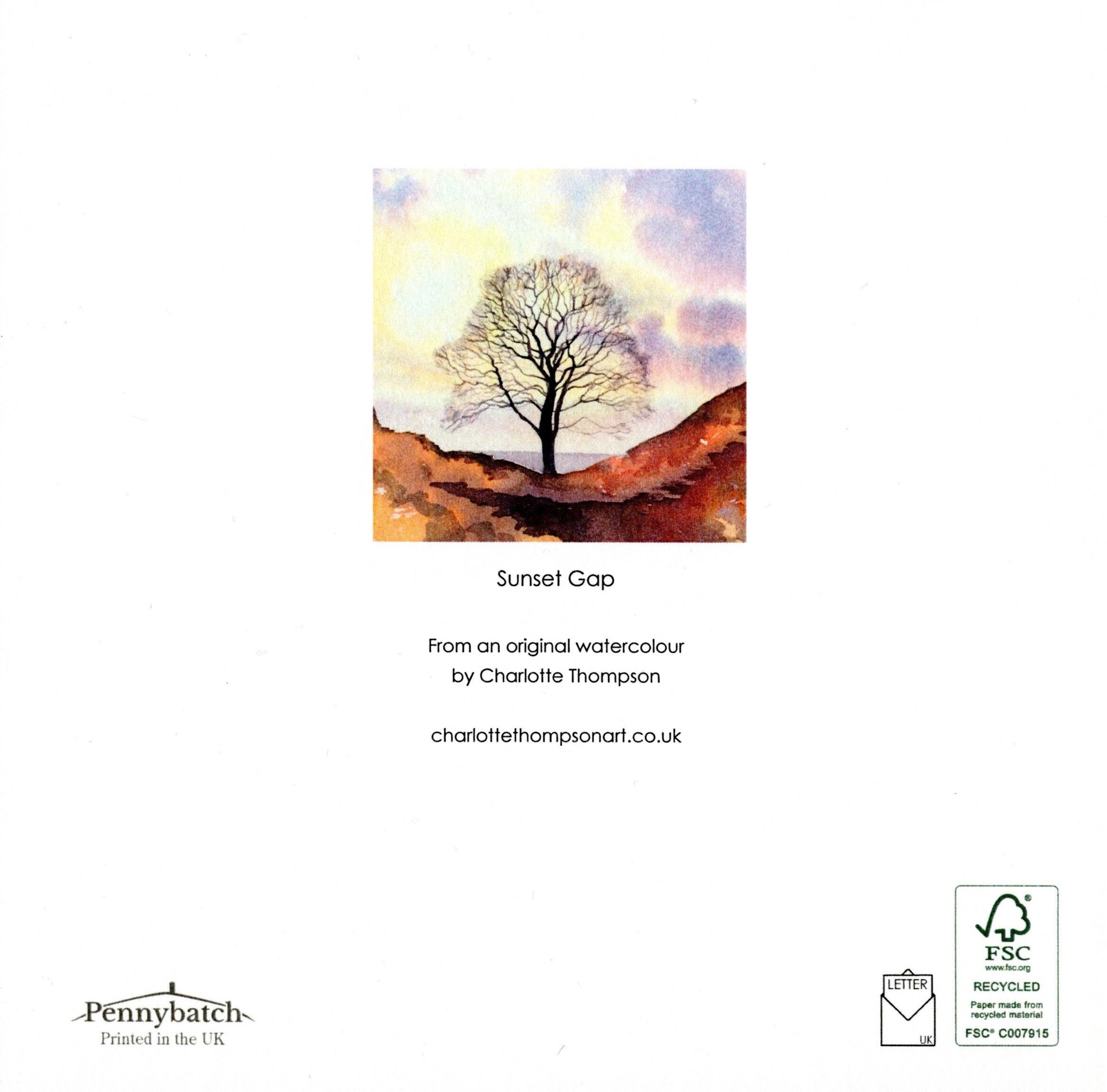 Sunset Sycamore Gap Greetings Card - Etsy