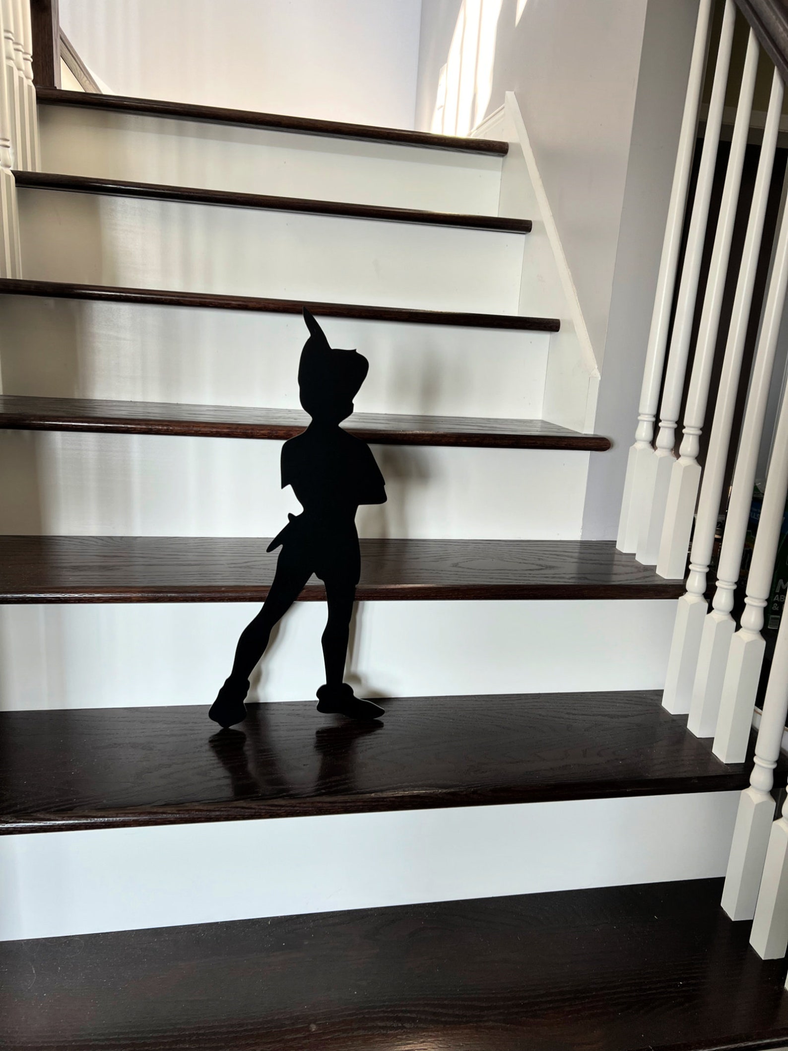 Peter Pan & Tinkerbell Nursery Decor or Vacation Room Window Shadow ...