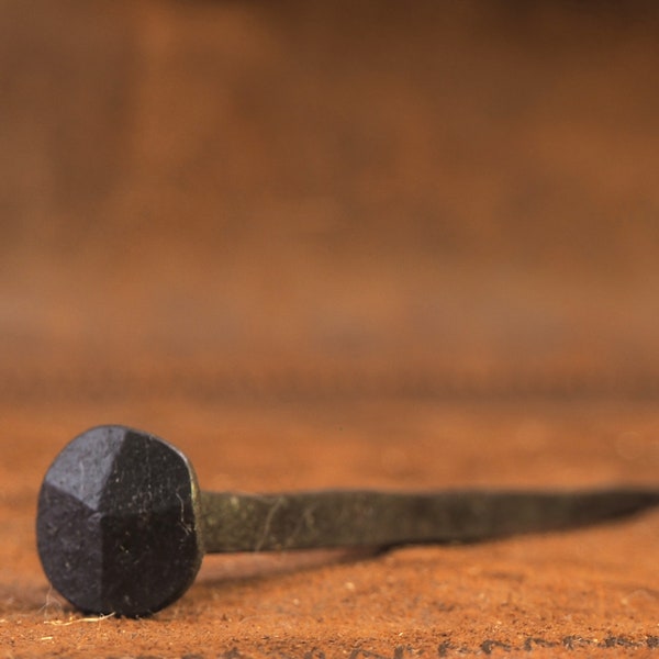 Forged Iron Nails - Etsy UK