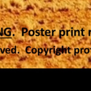 Kyuss Concert Poster - Limited Run of 100 - Etsy