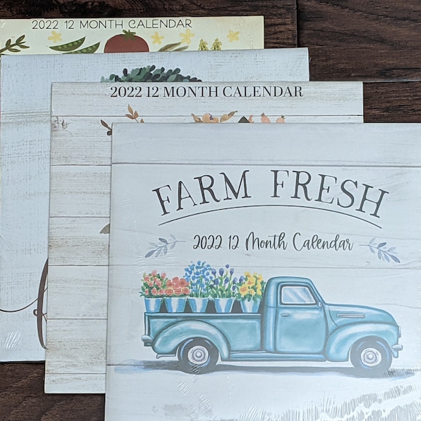 2025 Dollar Tree Calendar - Etsy