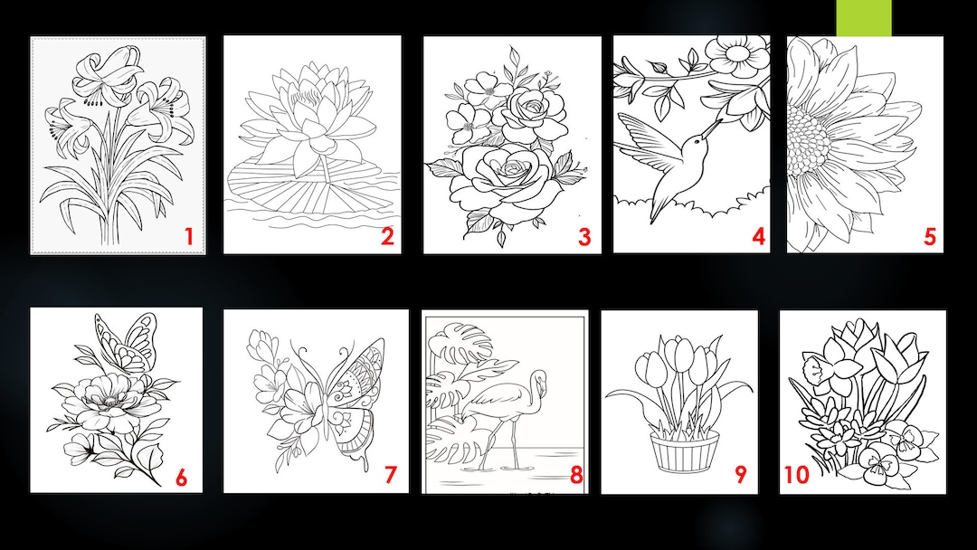 Spring | Flowers Paint and Sip | Lotus | Pre Drawn Outline Canvas ...