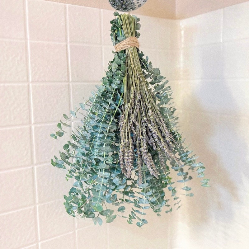 Eucalyptus - Etsy