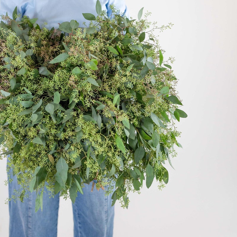 Seeded Eucalyptus - Etsy