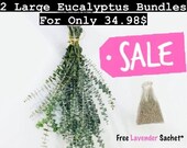 Fresh Eucalyptus Shower Bundle - Steam Releases the Soothing Scent ...
