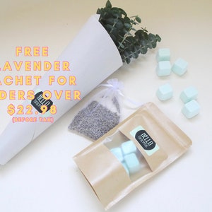 Large Fresh Eucalyptus Shower Bundle Eucalyptus Bundle - Etsy