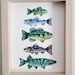 Watercolor River Fish Art Print, Blue & Green Bass, Trout, Salmon ...