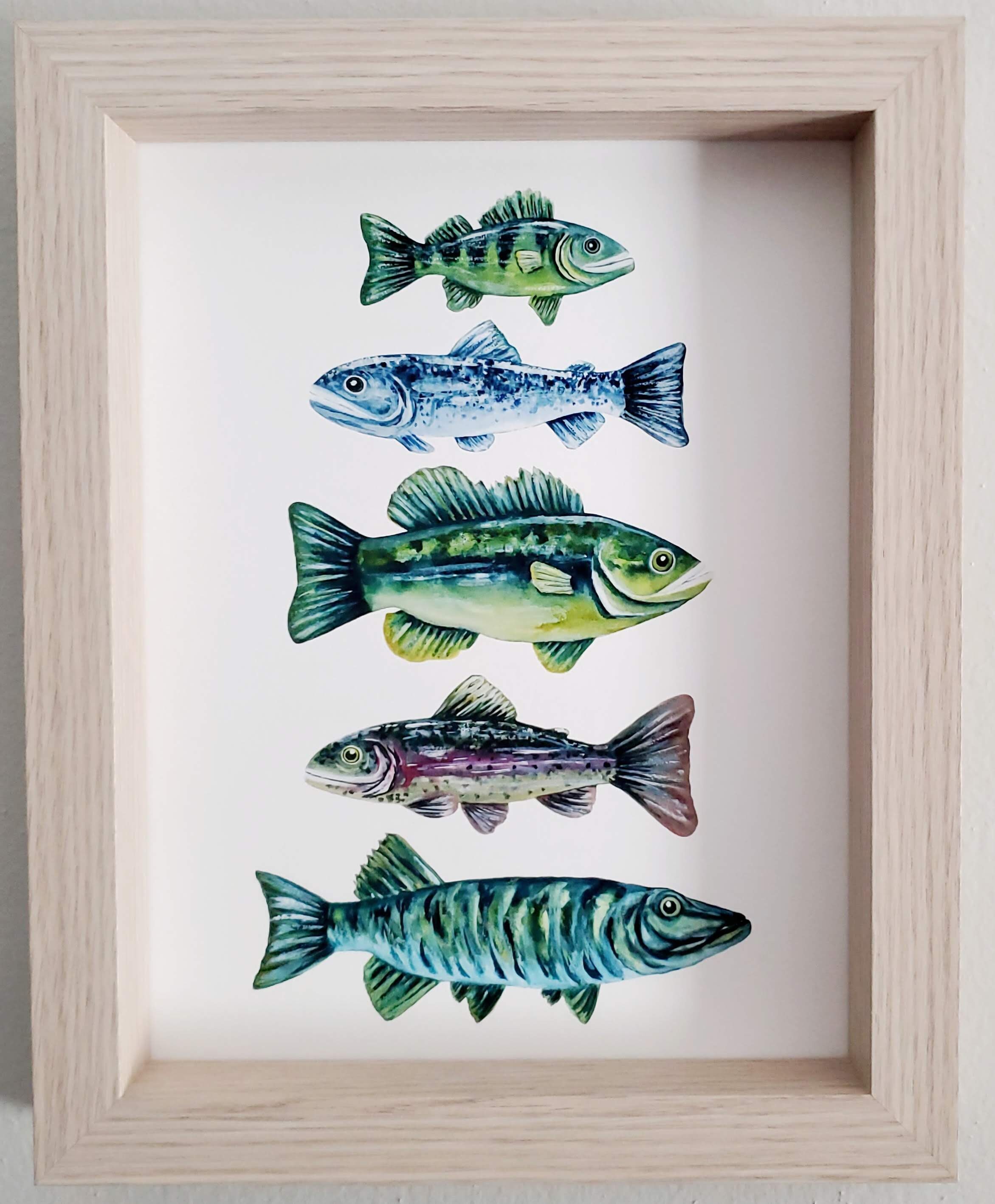 Watercolor River Fish Art Print Blue & Green Bass Trout - Etsy