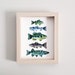 Watercolor River Fish Art Print, Blue & Green Bass, Trout, Salmon ...
