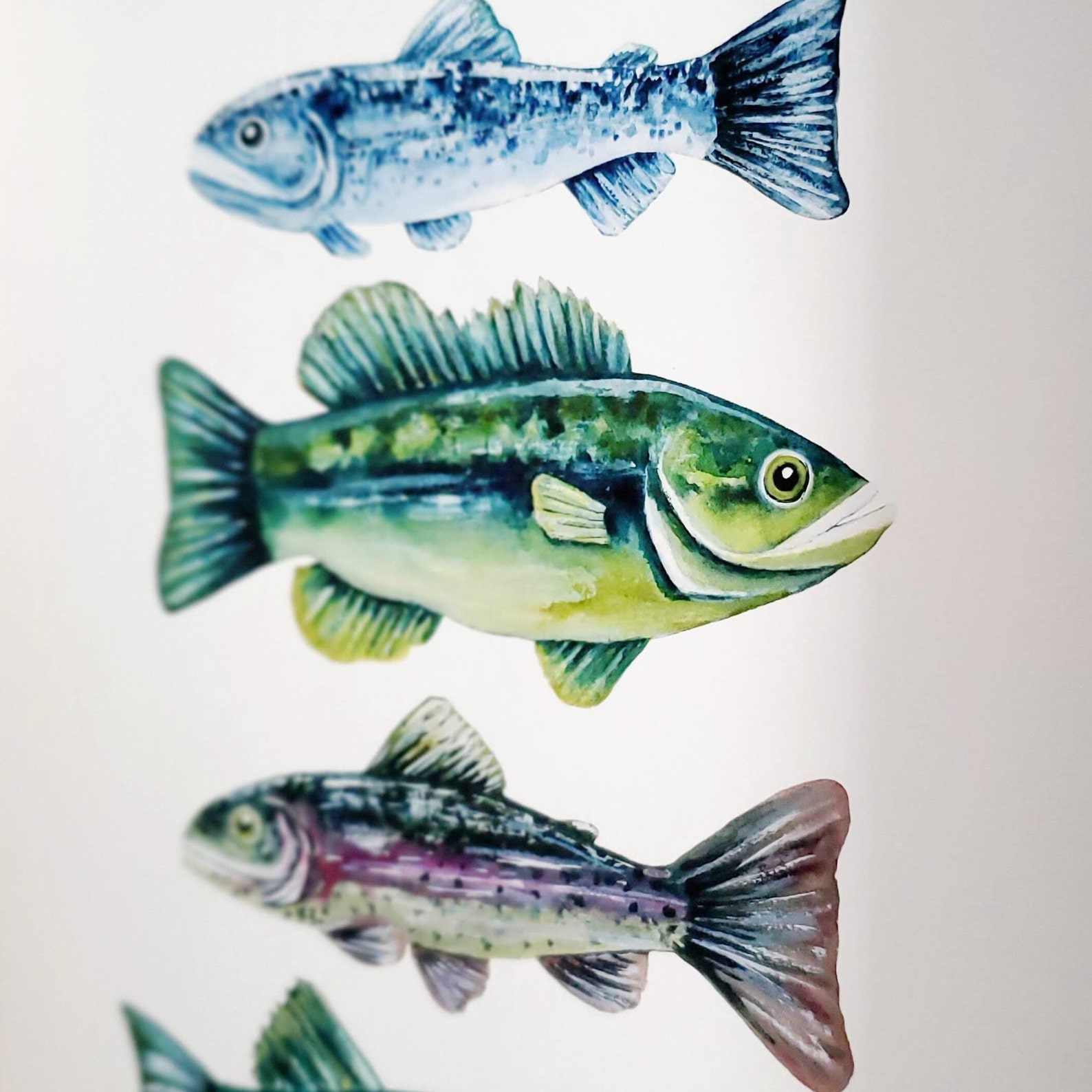 Watercolor River Fish Art Print Blue & Green Bass Trout - Etsy