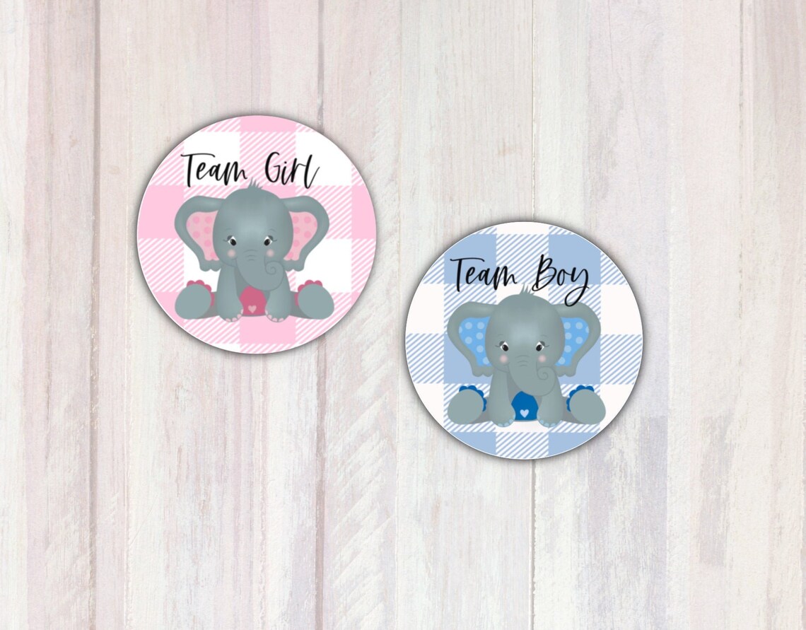 Team Boy Team Girl Stickers Gender Reveal Stickers Cute | Etsy