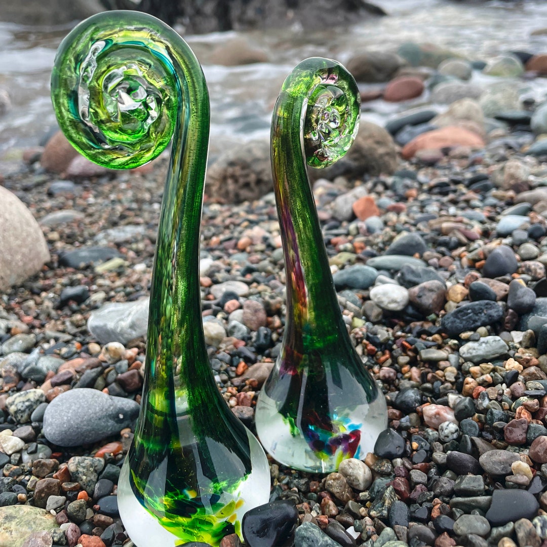 Hand-formed Blown Glass Fiddleheads Symbol of the Maritimes - Etsy