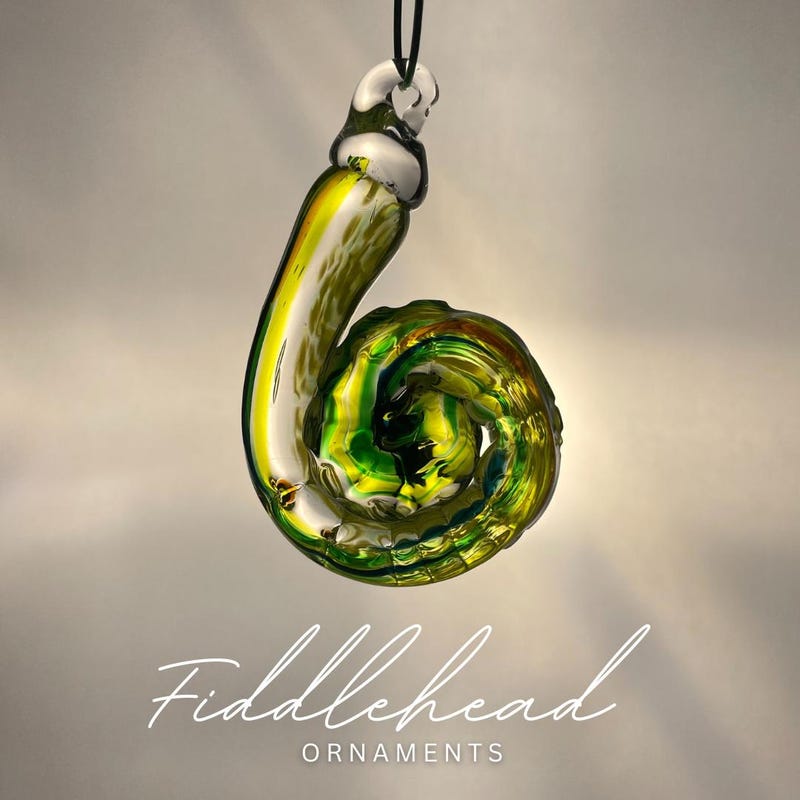 Fiddlehead - Etsy