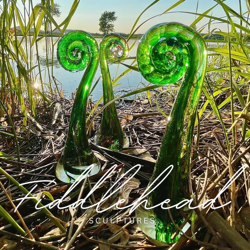 Fiddlehead - Etsy