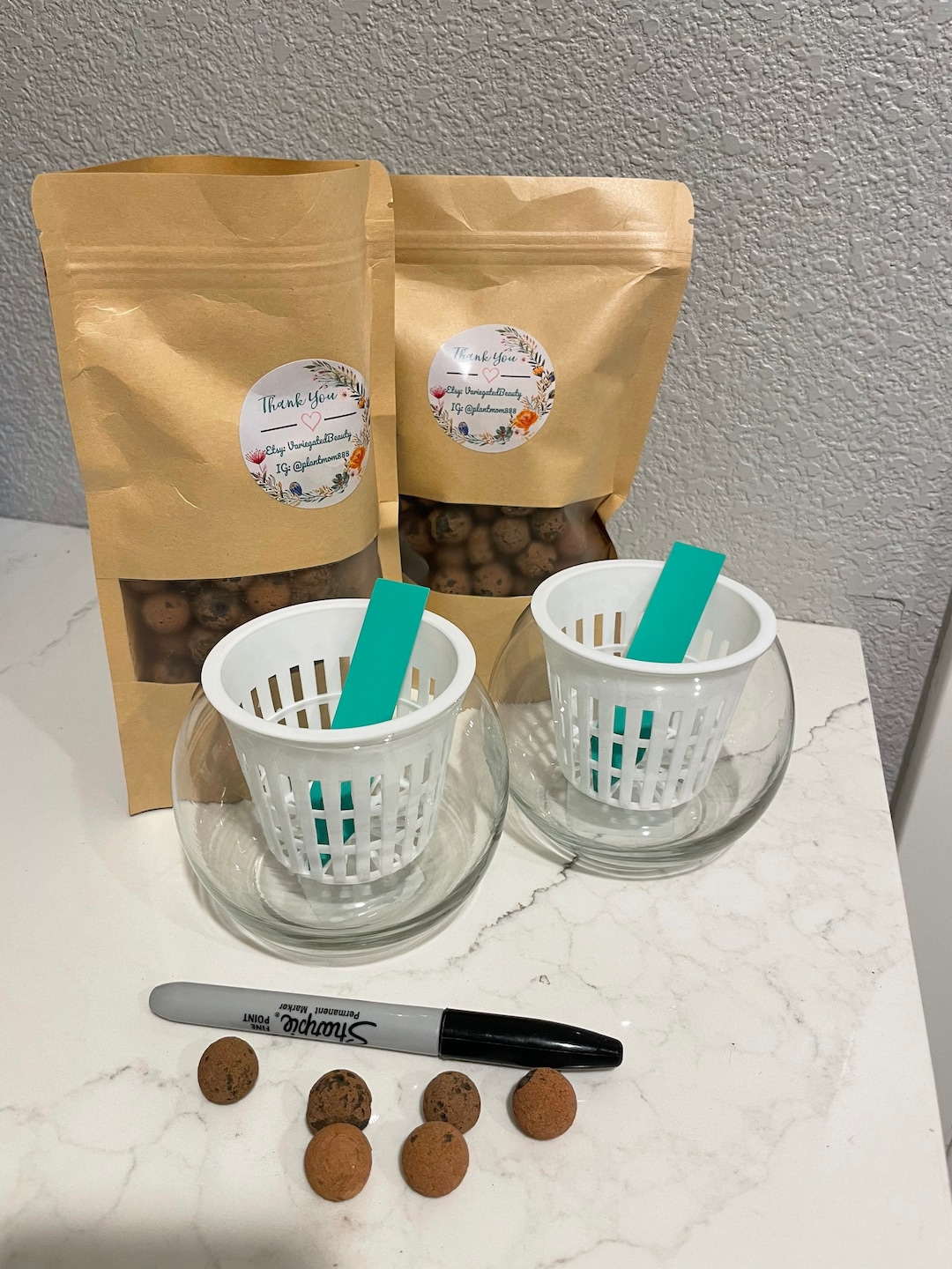 Leca Propagation and Starter Kit - Etsy