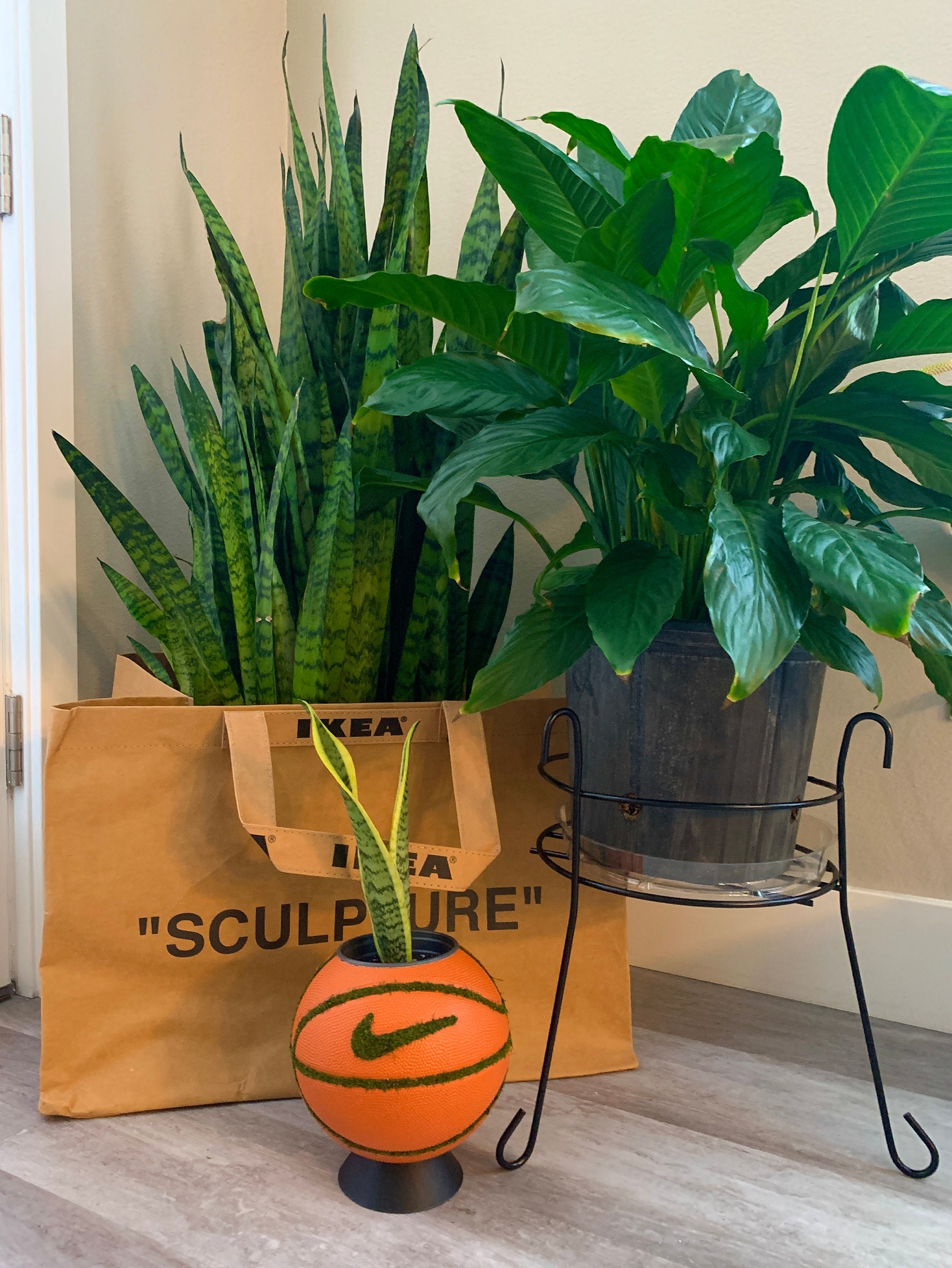 Moss Swoosh Mini Nike Basketball Planter (classic Orange) - Etsy