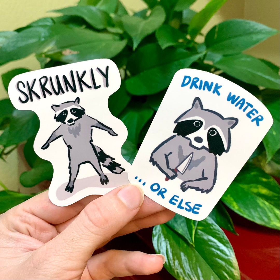 Raccoon Vinyl Sticker Set - Etsy