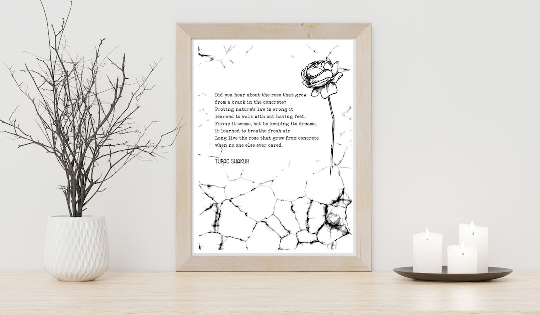 The Rose That Grew From Concrete Tupac Shakur Poem Inspiration Digital ...