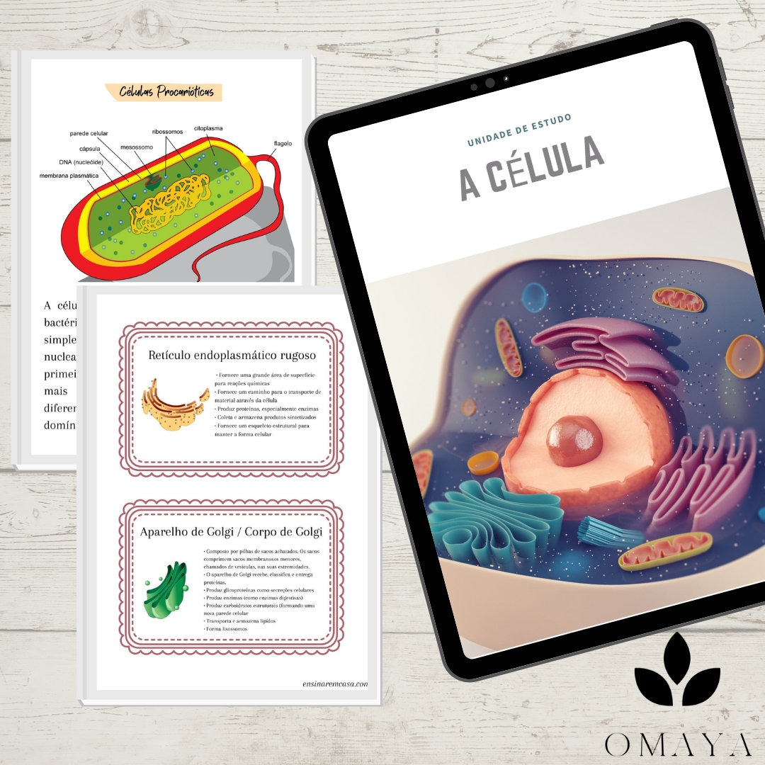 A Célula - Matéria Das Células, 7.º Ano, Fichas Ciências 7.º Ano - Etsy
