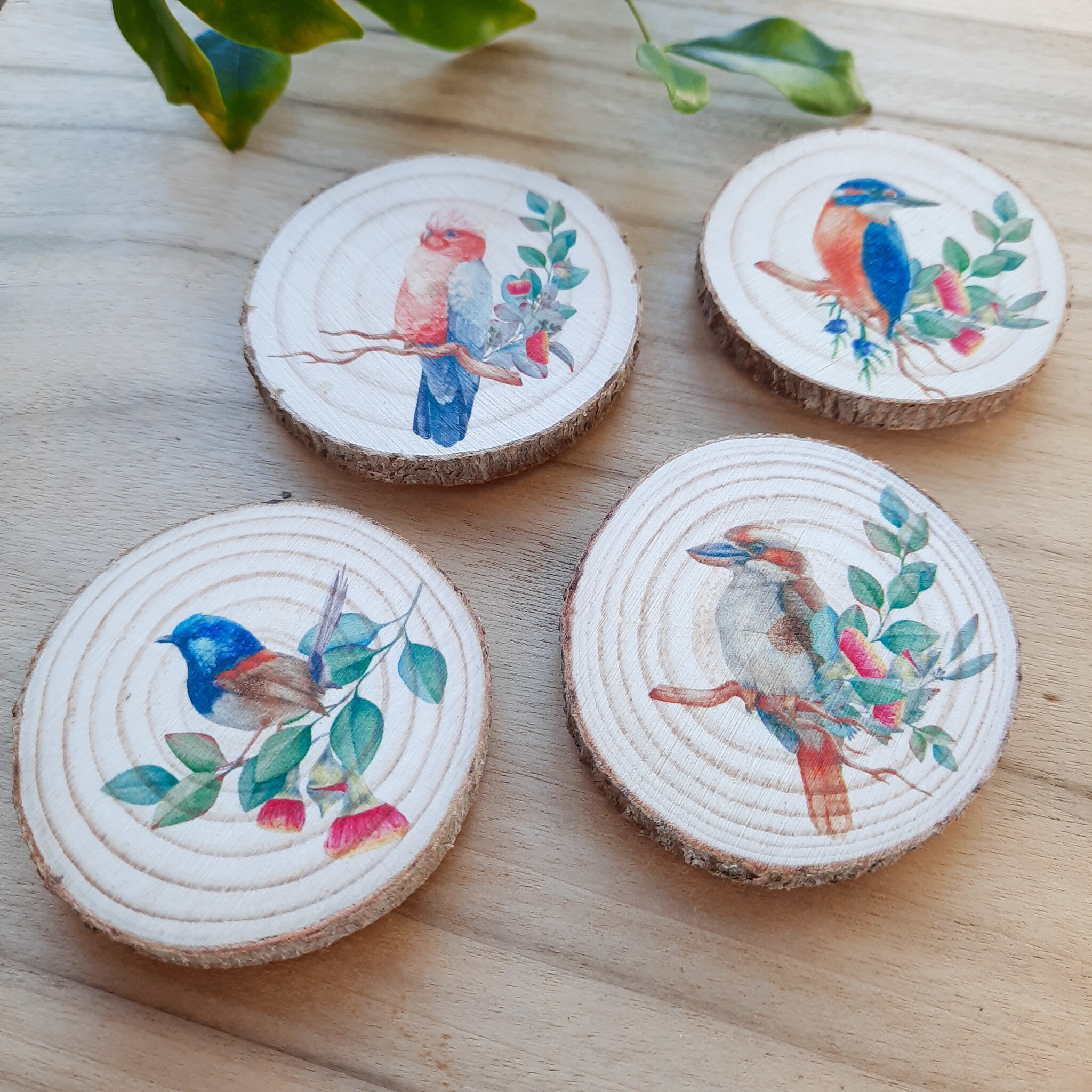 Australian Bird Magnets Fridge Magnets Birthday Gift Fridge - Etsy ...