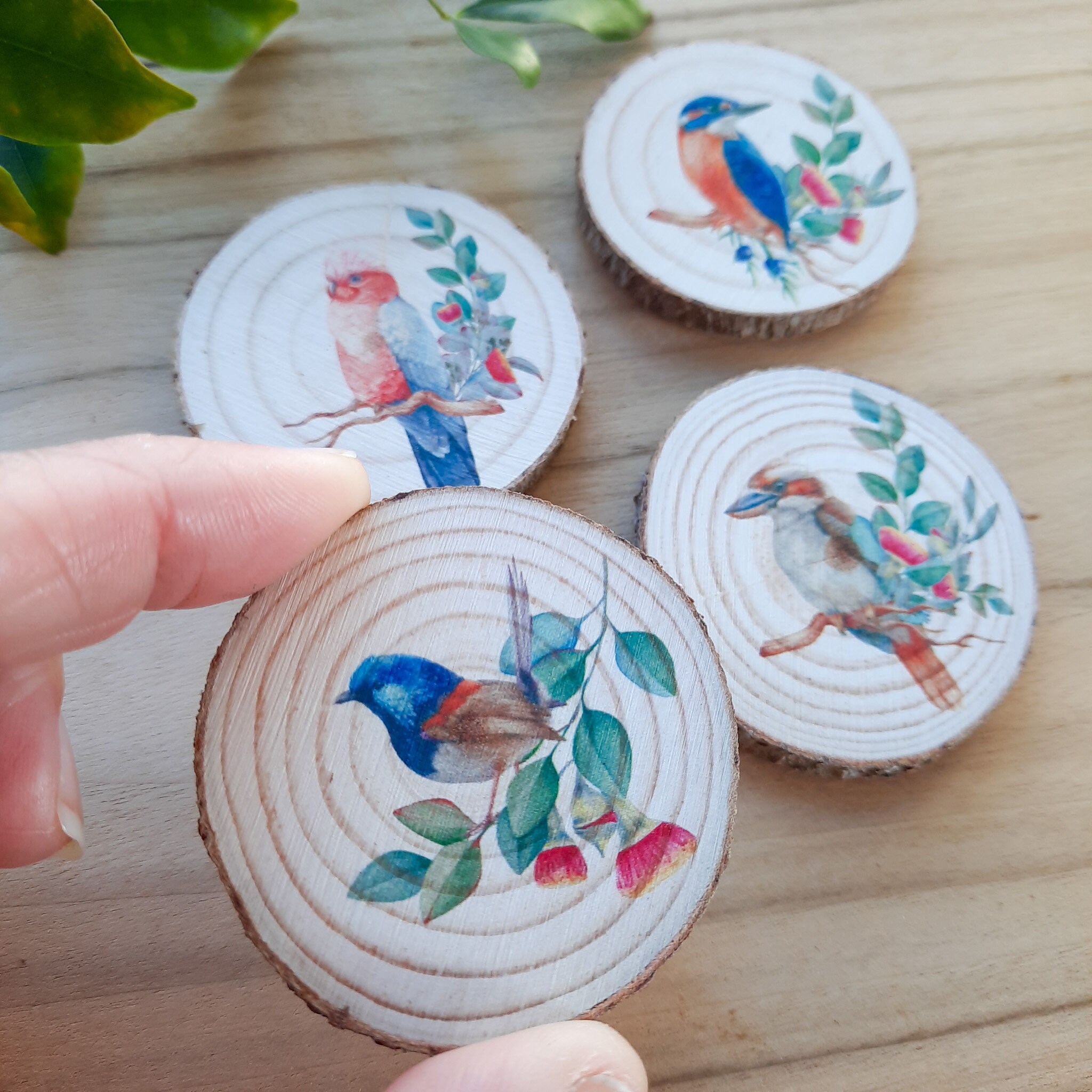 Australian Bird Magnets Fridge Magnets Birthday Gift Fridge - Etsy ...