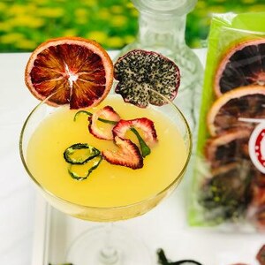 Dehydrated Fruit Cocktail Garnish Variety Pack - Etsy