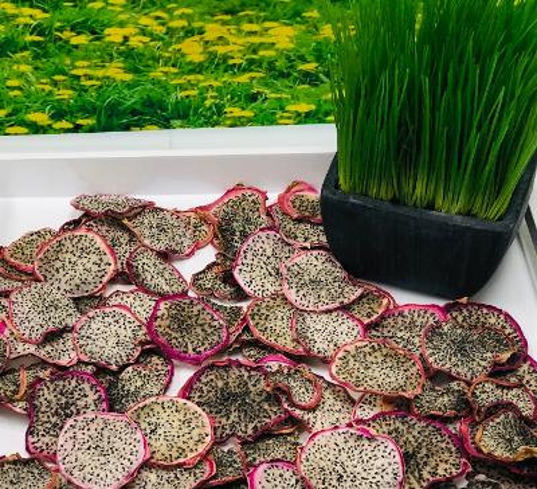 Dehydrated Dragon Fruit Slices: Cocktail Garnish, Tea Infusion - Etsy