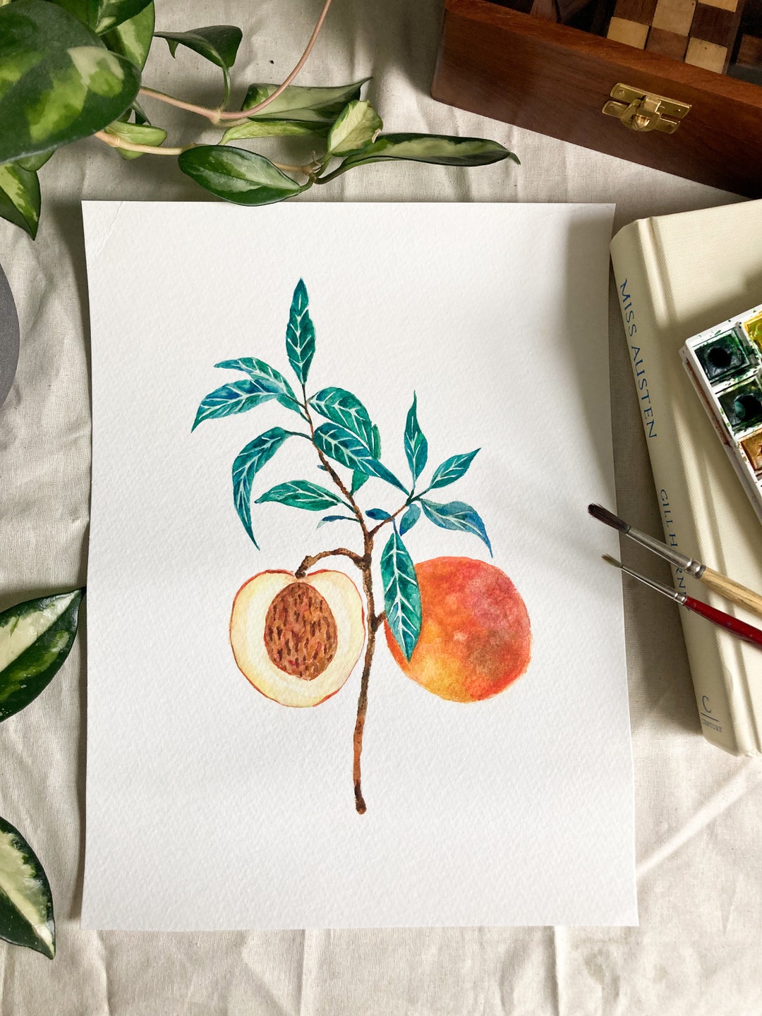 Peach Botanical Watercolour Painting - Etsy