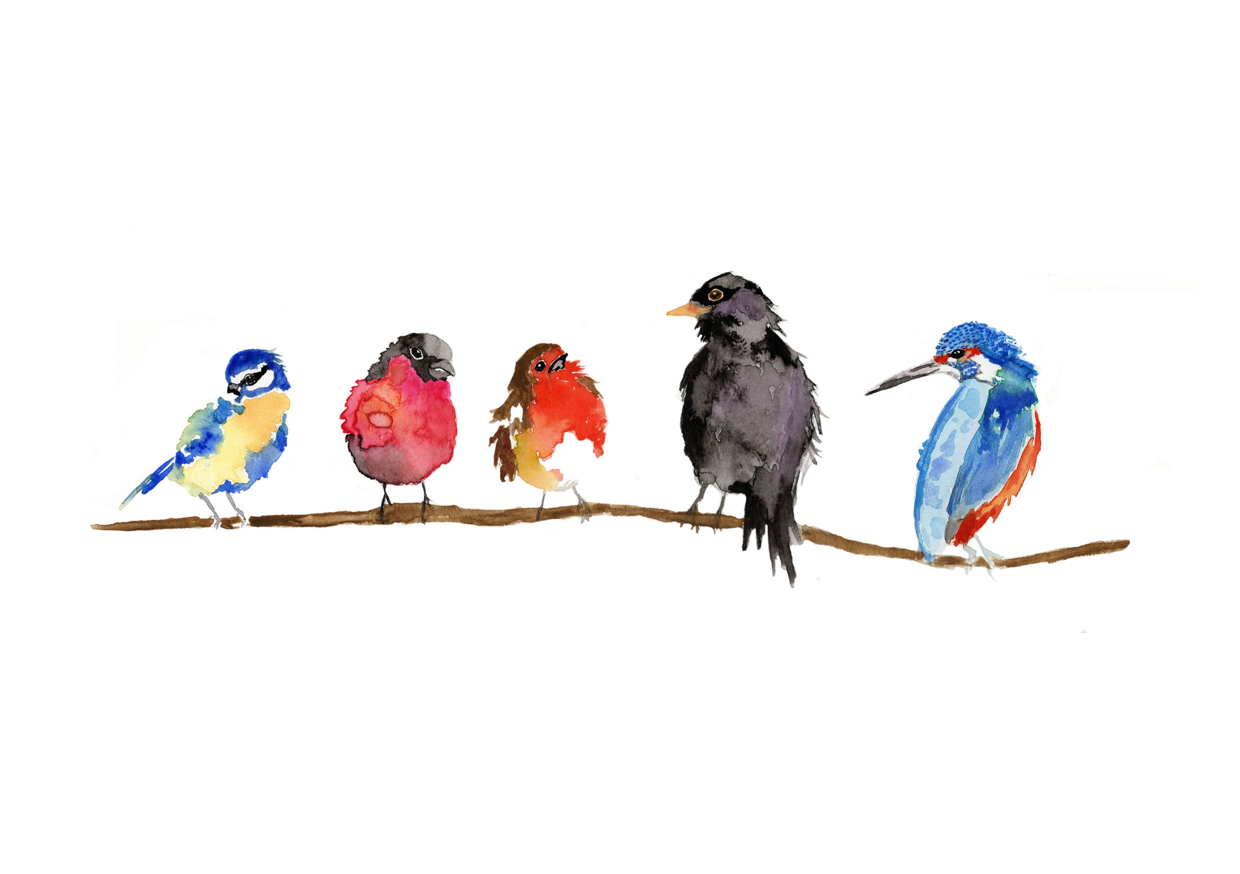 Unique 'best of British Birds' Watercolour Print by Skadi Art - Etsy UK