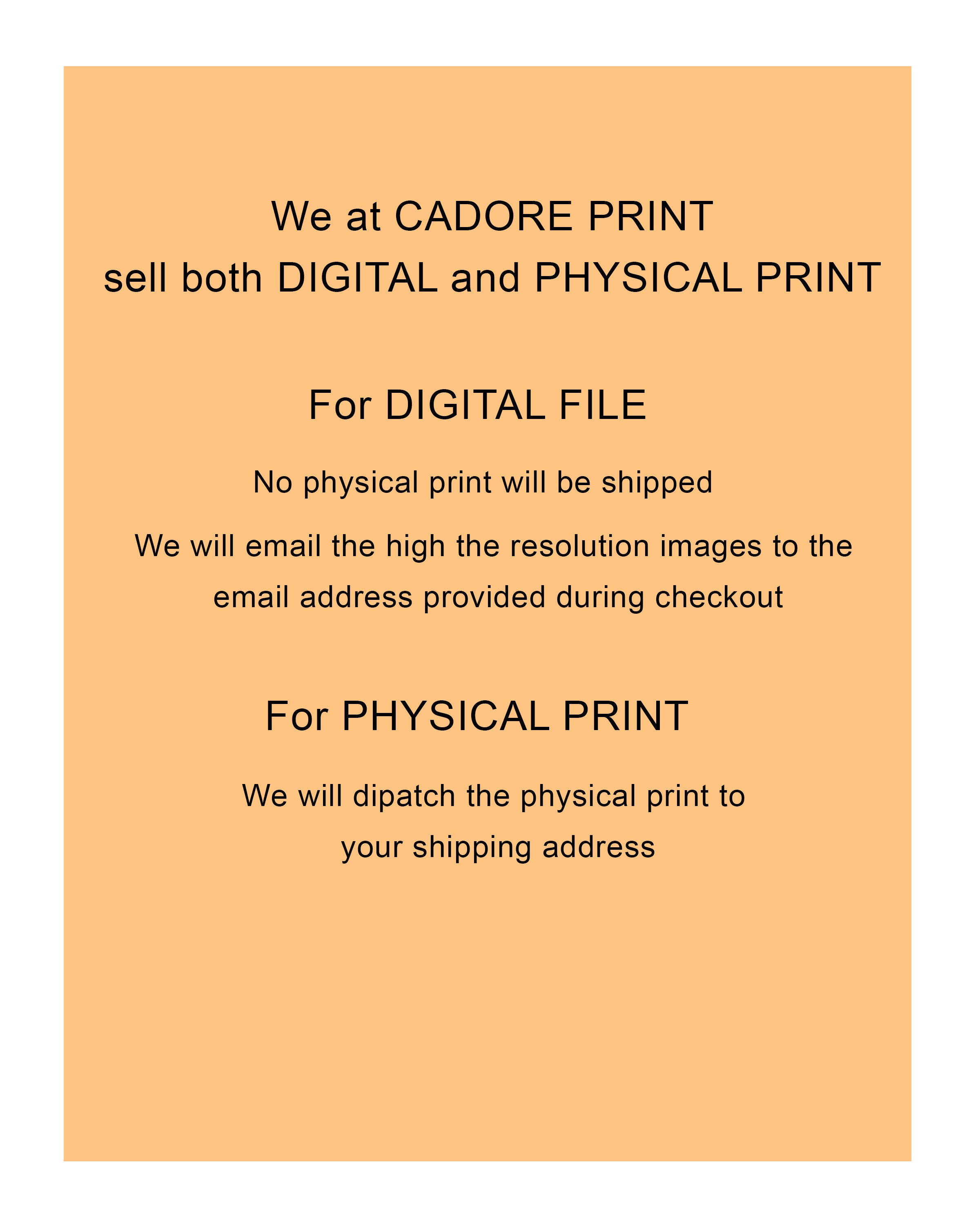 Norse Viking Poetry Child of Odin Wall Art Print, I Fly Upon the ...