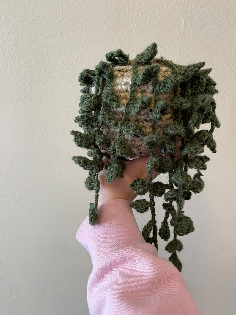 Crochet Plant - Etsy