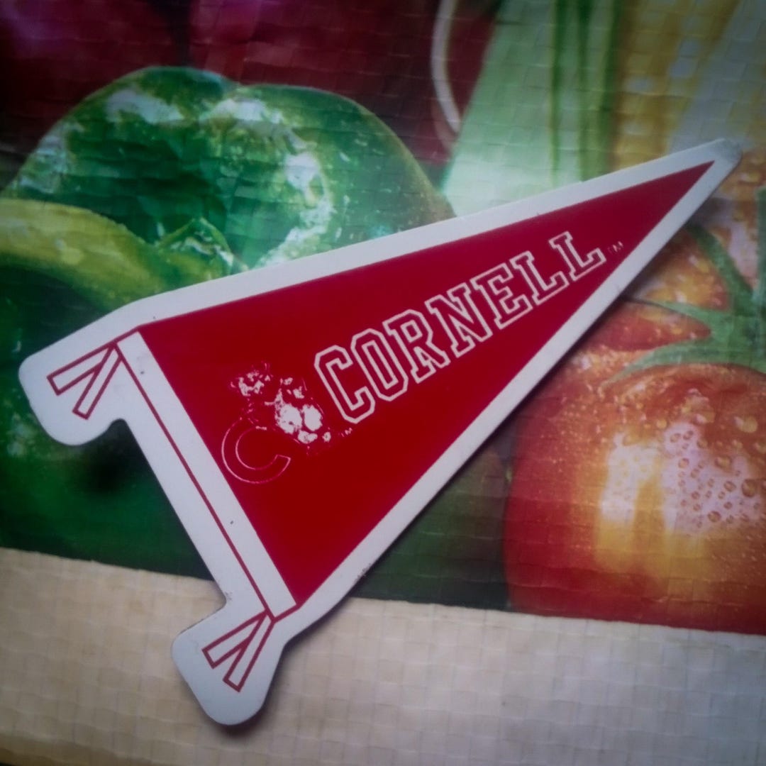 Cornell University Logo Flag Magnet - Etsy