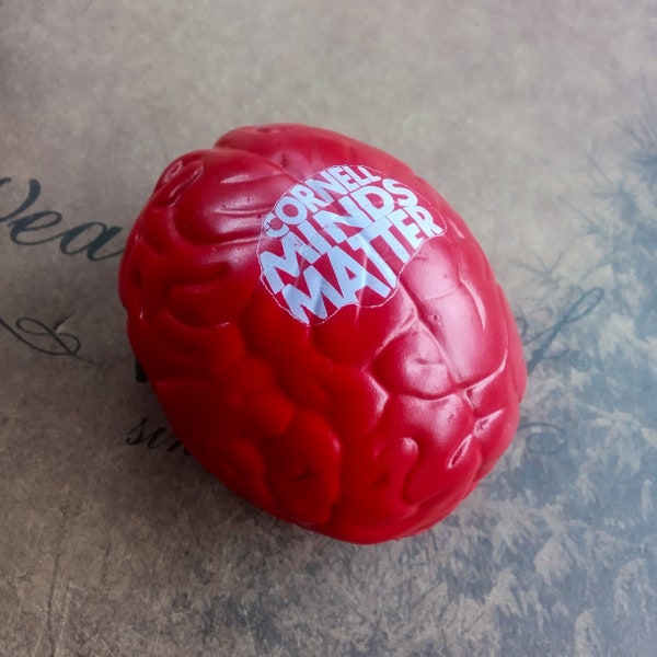Brain Stress Ball - Etsy