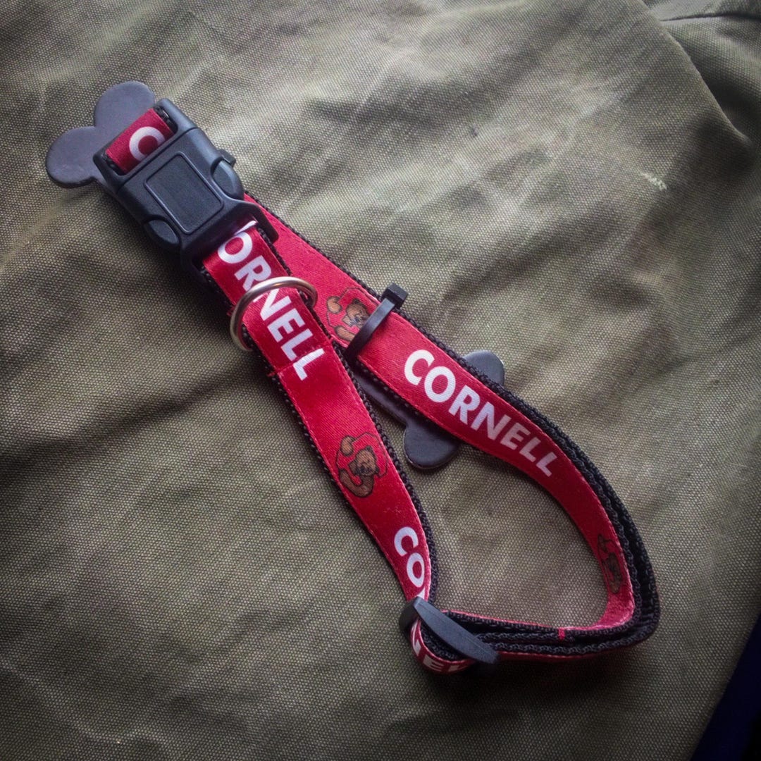Official Cornell University Large Dog Coller. - Etsy