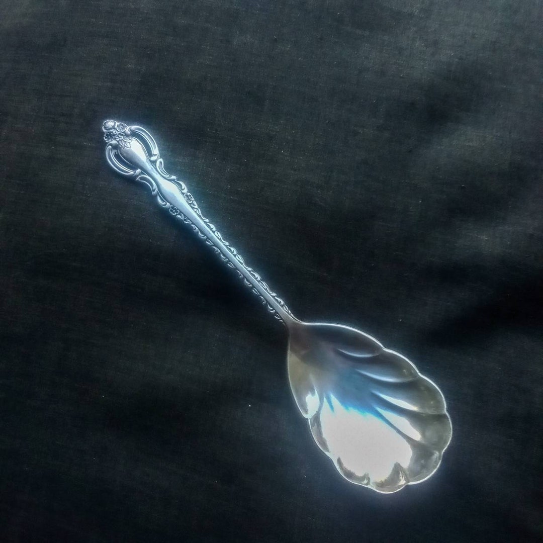 Deep Silver International Serving Spoon - Etsy