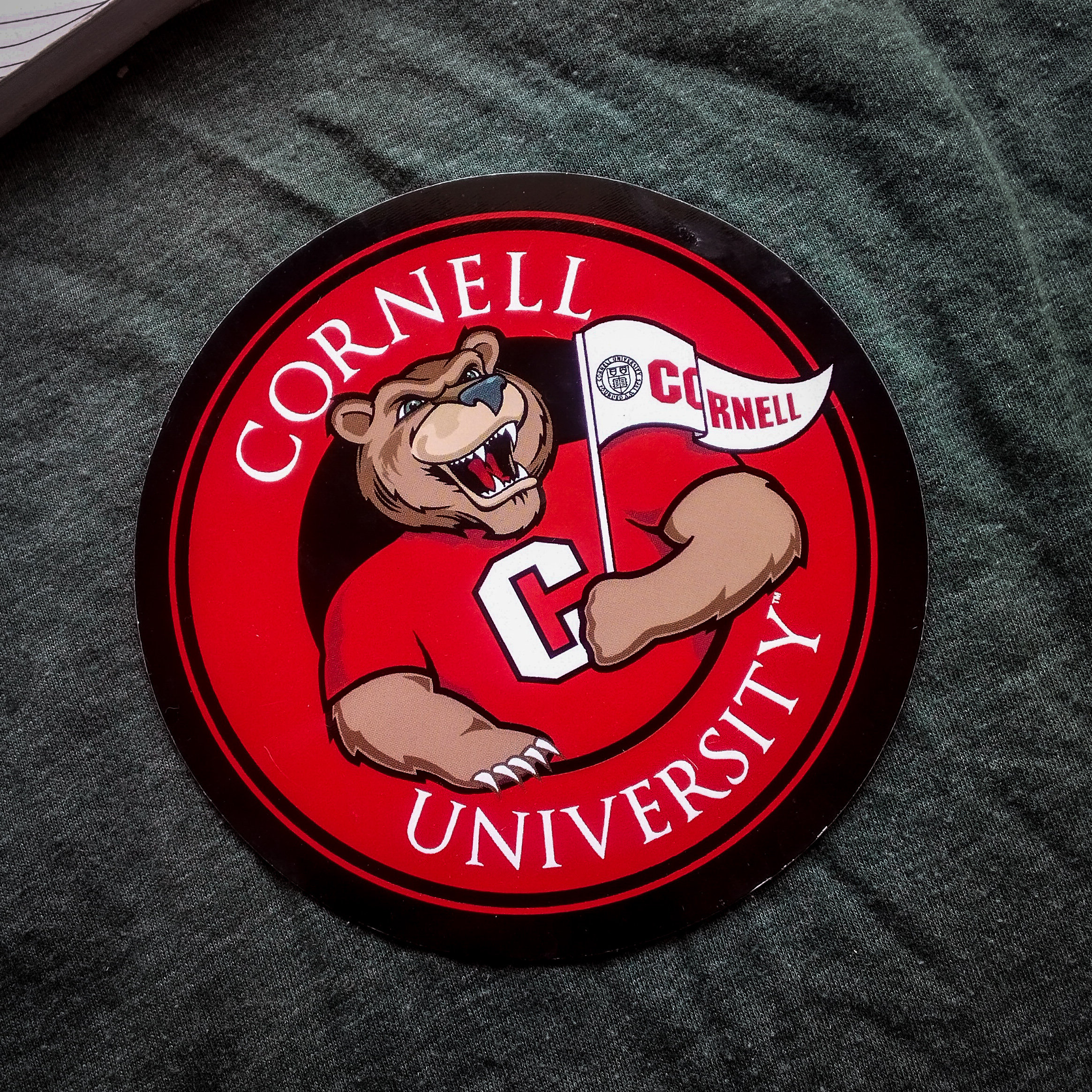 Cornell University Bear