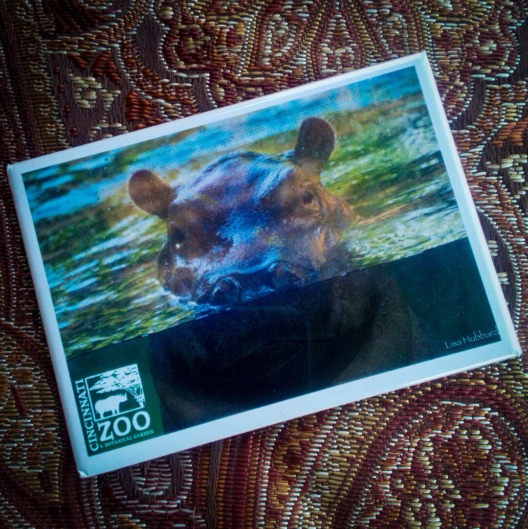 Cincinnati Zoo Graphic Hippo Magnet - Etsy