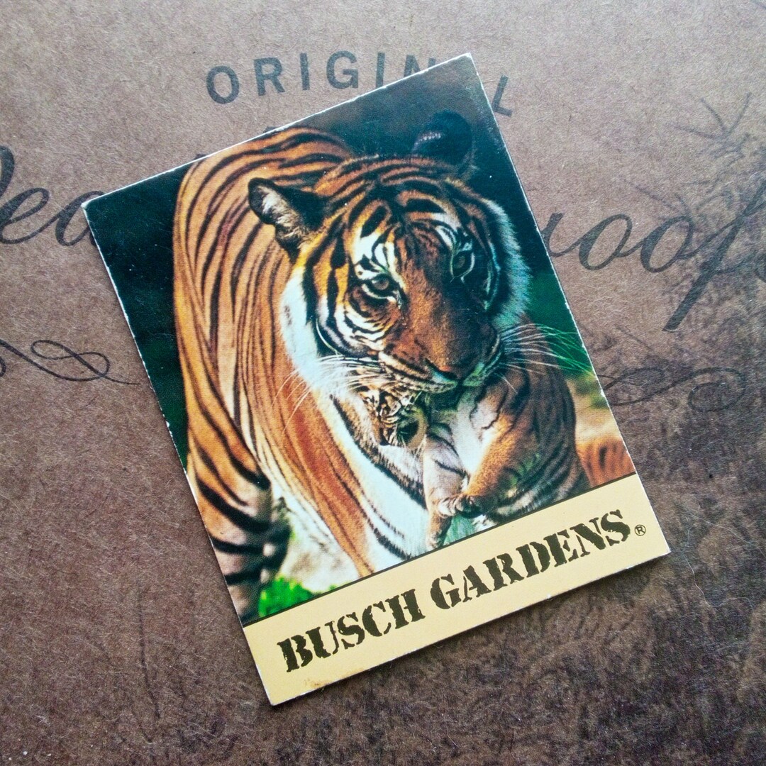 Busch Gardens Graphic Tiger Magnet - Etsy