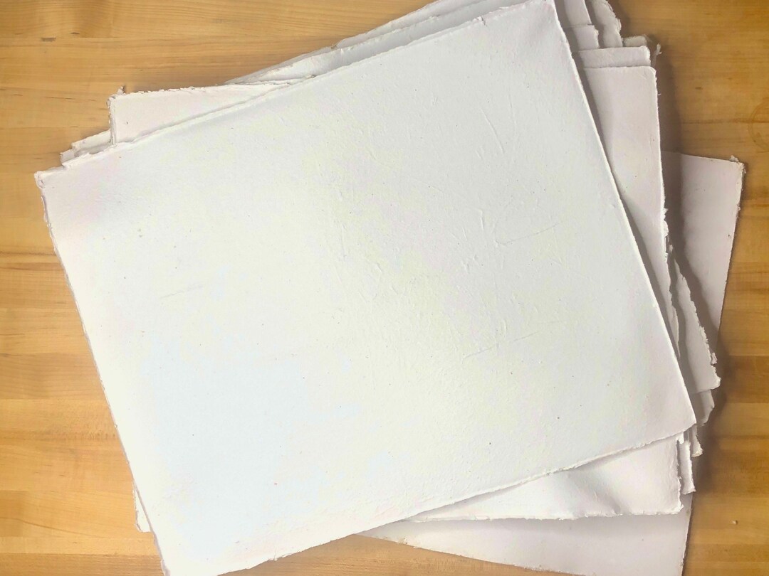 Large Plantable Seed Paper Sheet: Wildflower Recycled Paper (17x21 In ...