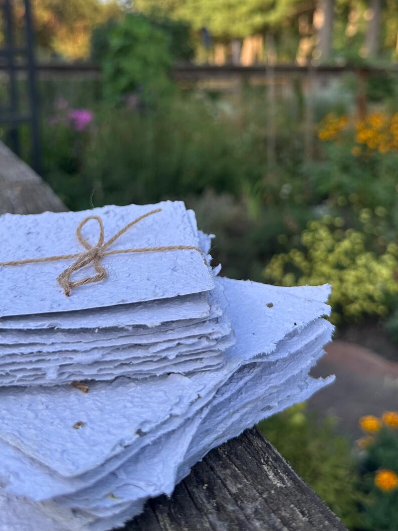 Plantable Seed Paper: Handmade Recycled Wildflower Paper (3x5") - Etsy