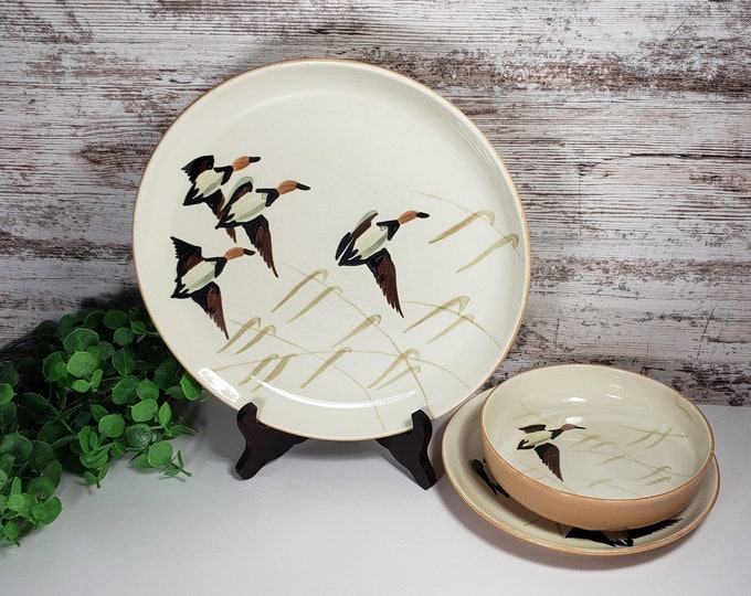 Red Wing Pottery Flight Pattern Dinner Plate, Vintage 1950's Canvas ...