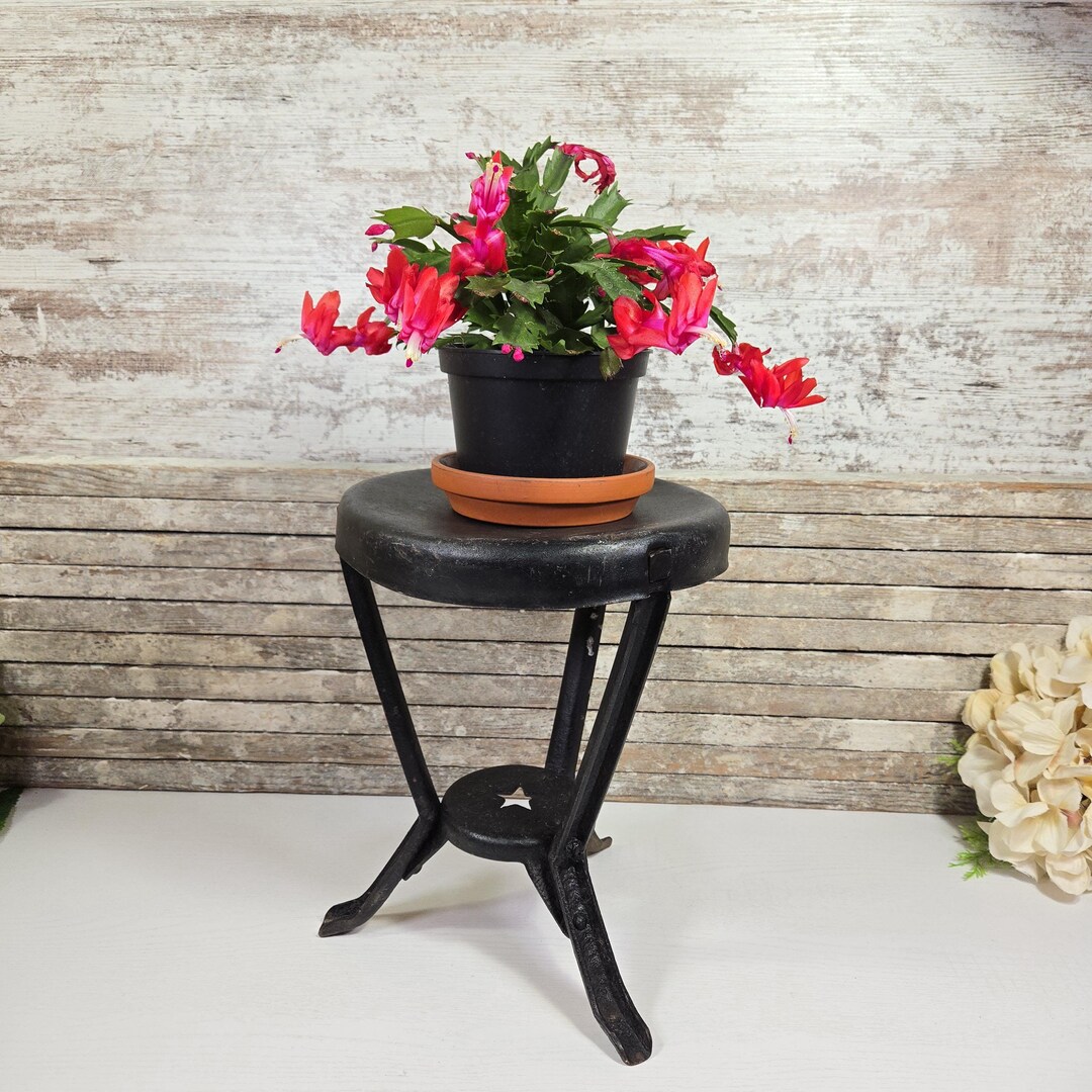 Milking Stool, Vintage Three-legged Barn Stool With Star Logo - Etsy